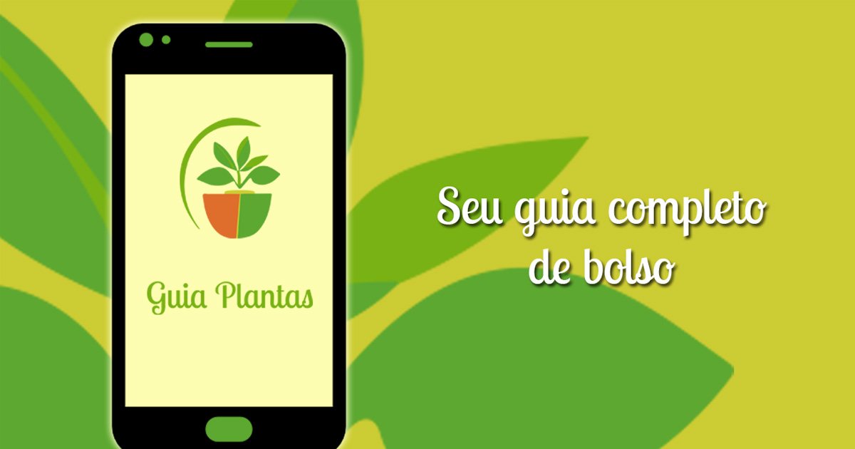 Capim-limão, Guia Completo para Cultivar Esta Planta em Casa :: Guia ...